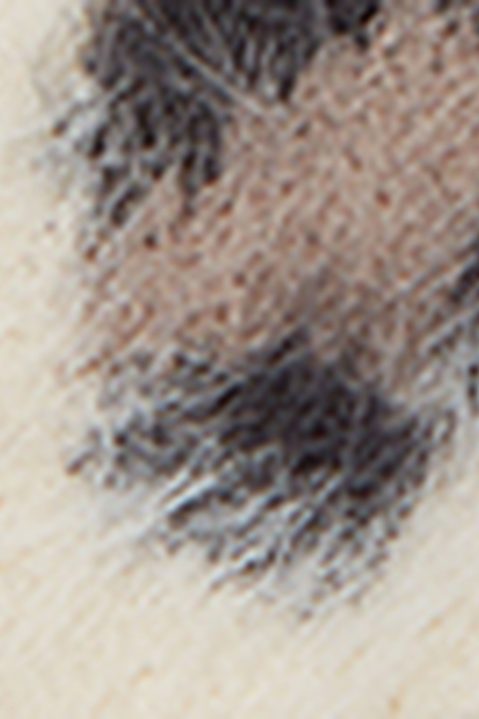 Meia Curta Macia - DC0550 - Calzedonia